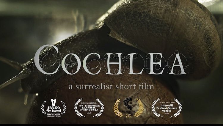 Interview with Best Director Winner Lisa Battocchio – Sur-REEL ...